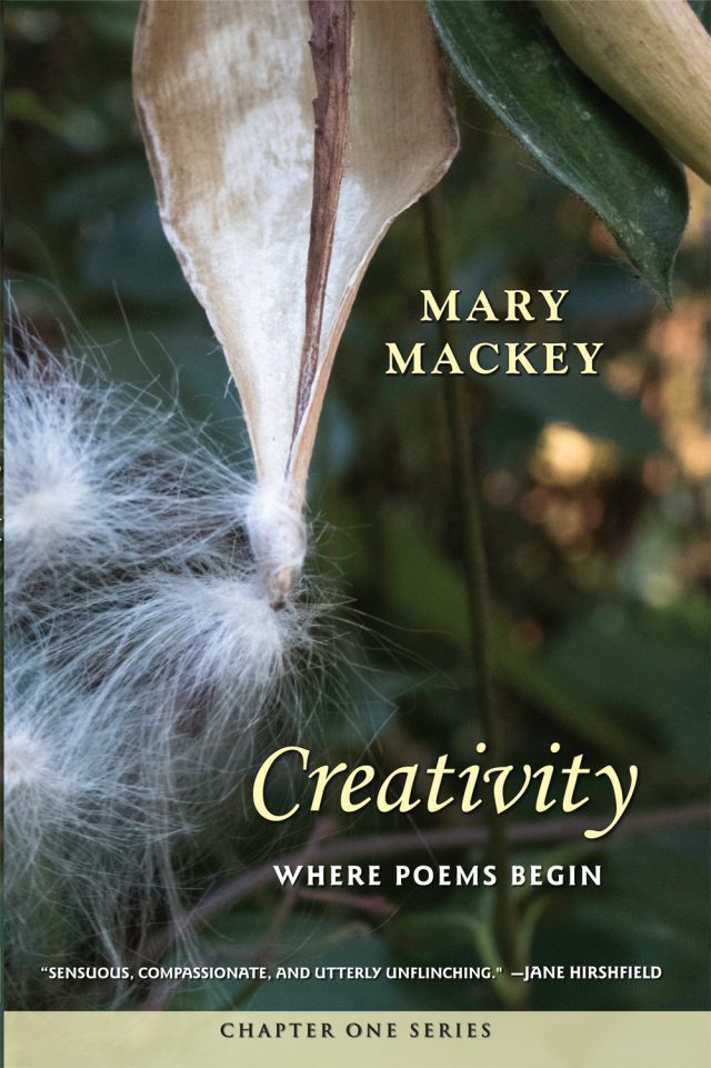 Mary Mackey - Author